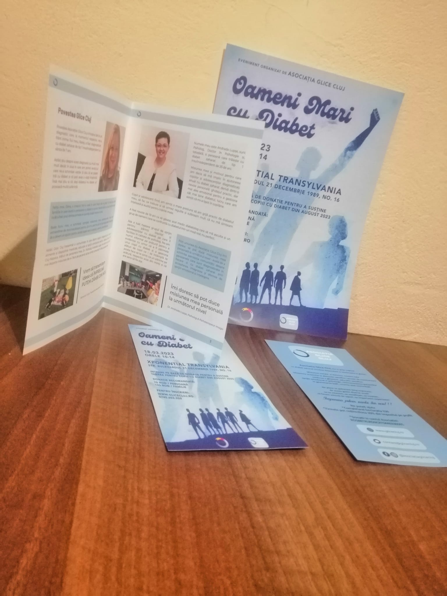 Productie publicitara flyere Cluj,flyere cluj, pliante Cluj, afise A3 ...