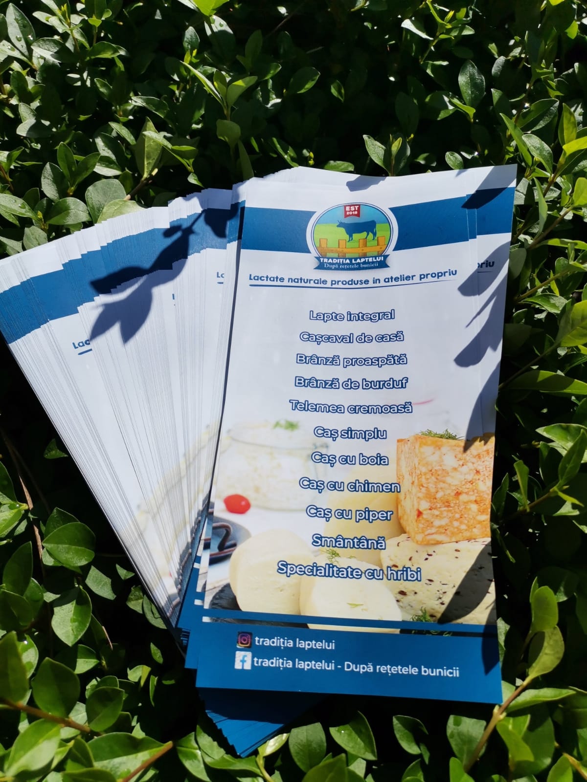 Productie publicitara flyere Cluj,flyere cluj, pliante Cluj, afise A3 ...